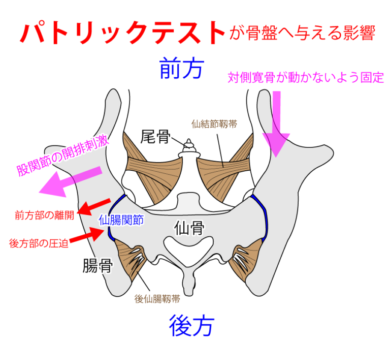 パトリックテスト(Fabere test)【股関節 or 仙腸関節の検査】